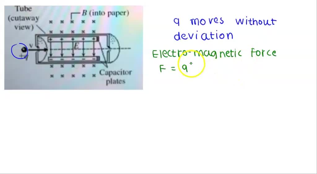 SOLVED: Question 3 1 pts A large turntable rotates about a fixed ... SOLVED: Question 3 1 pts A large turntable rotates about a fixed ...