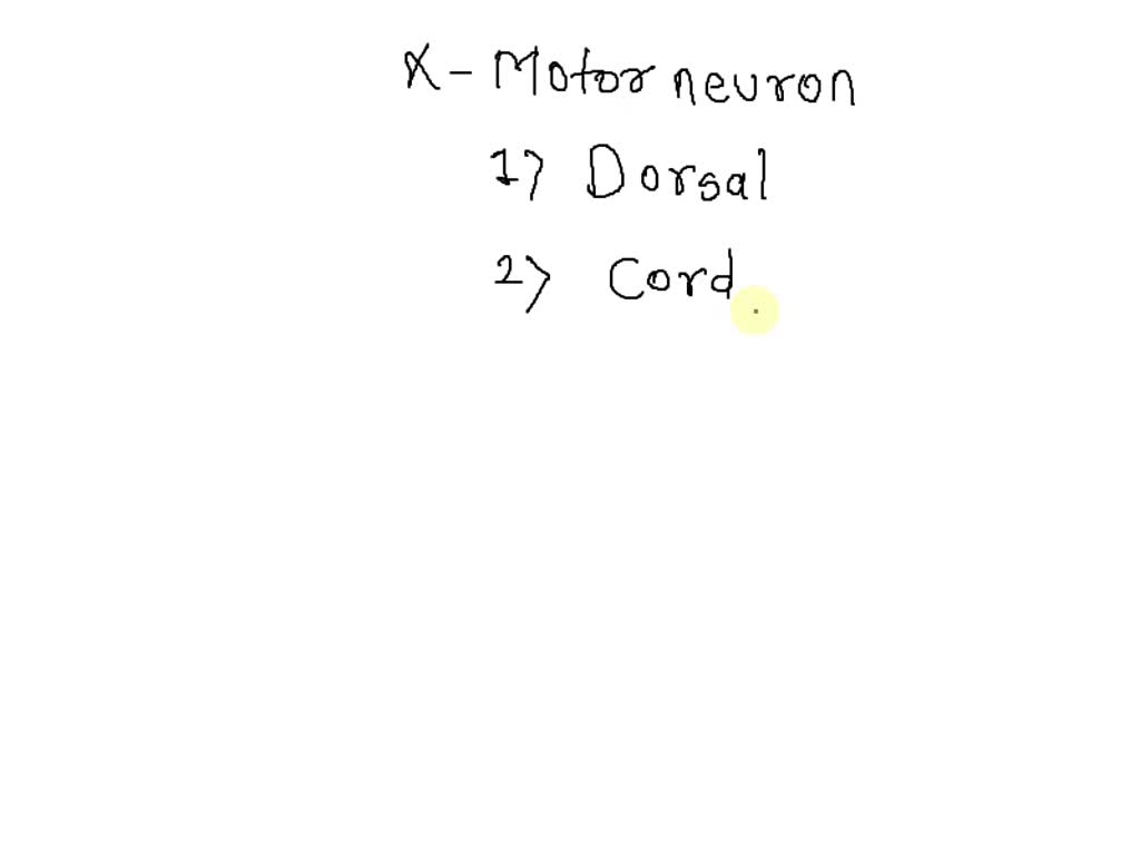 SOLVED: QUESTION 8 The cell bodies of alpha motor neurons are located ...