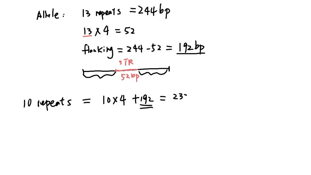 An STR has a core repeated sequence of TCAT. Seven alleles have been ...