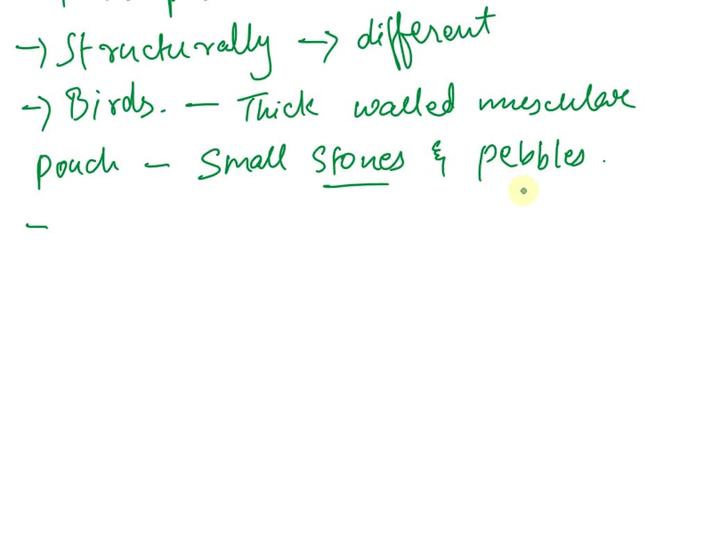 SOLVED: How does the gizzard compare, functionally and structurally, to ...