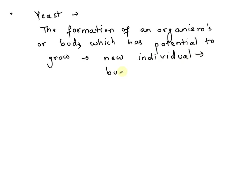 Solved Yeast Replicate By Select One A Production Of Hyphae B Binary Fission Producing Two