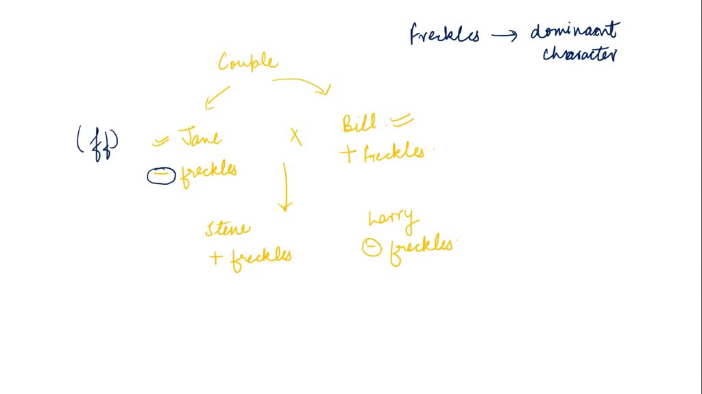 SOLVED: Freckles follow a simple Mendelian genetics pattern of ...