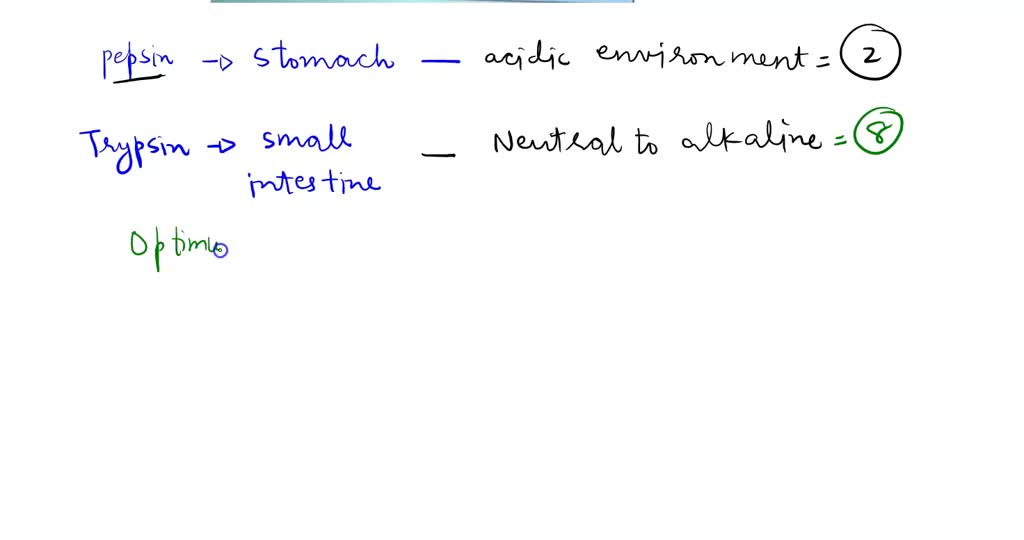 SOLVED: Below is a graph for the rate of reaction of the two different ...