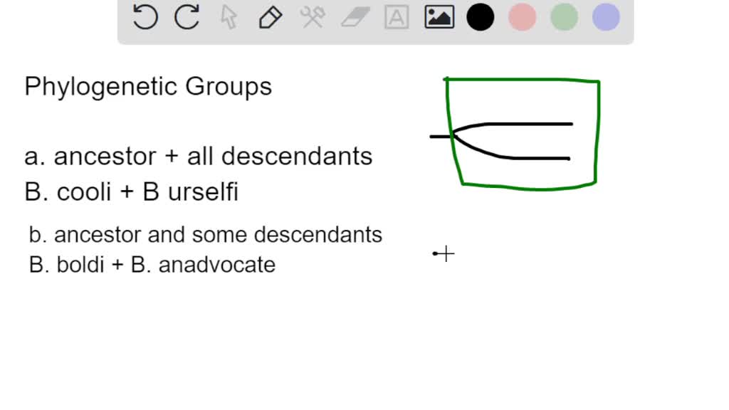 SOLVED: phylogeny phylogeny phylogeny 014. Examine the following table ...