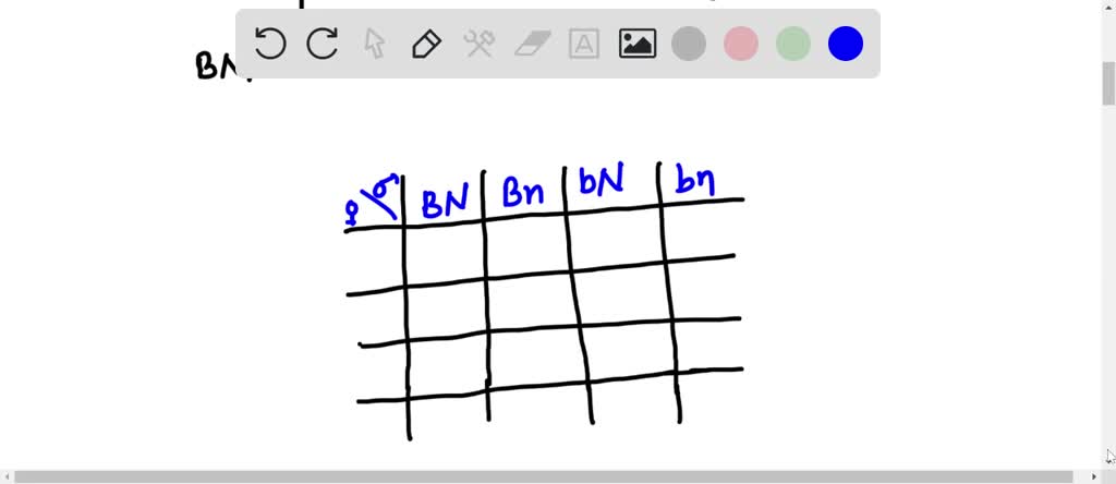 SOLVED: okay consider a cross of beetles with exoskeleton allies B and ... SOLVED: okay consider a cross of beetles with exoskeleton allies B and ...