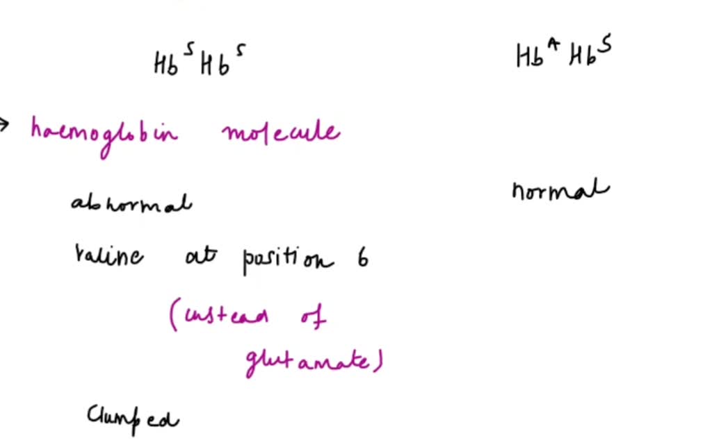 SOLVED: Explain the differences between an individual homozygous for ...