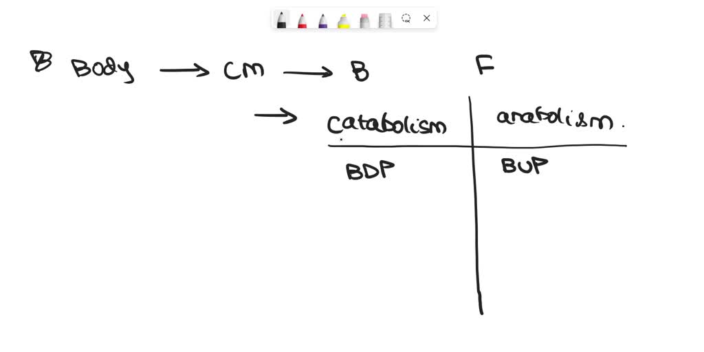 SOLVED: Short Answer 1.Define metabolism 2.Explain the difference ... SOLVED: Short Answer 1.Define metabolism 2.Explain the difference ...