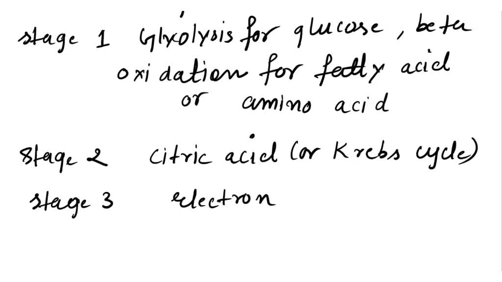 SOLVED: 1. Compare and contrast salivary amylase and pancreatic amylase ... SOLVED: 1. Compare and contrast salivary amylase and pancreatic amylase ...