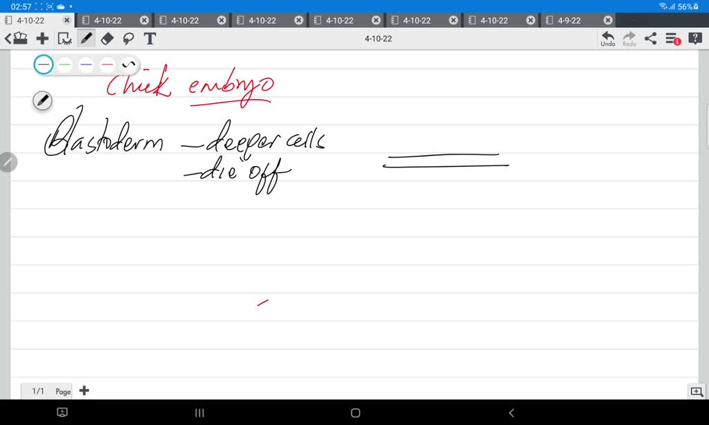 SOLVED: Question 9 In the chick embryo, deeper cells die leaving single ...