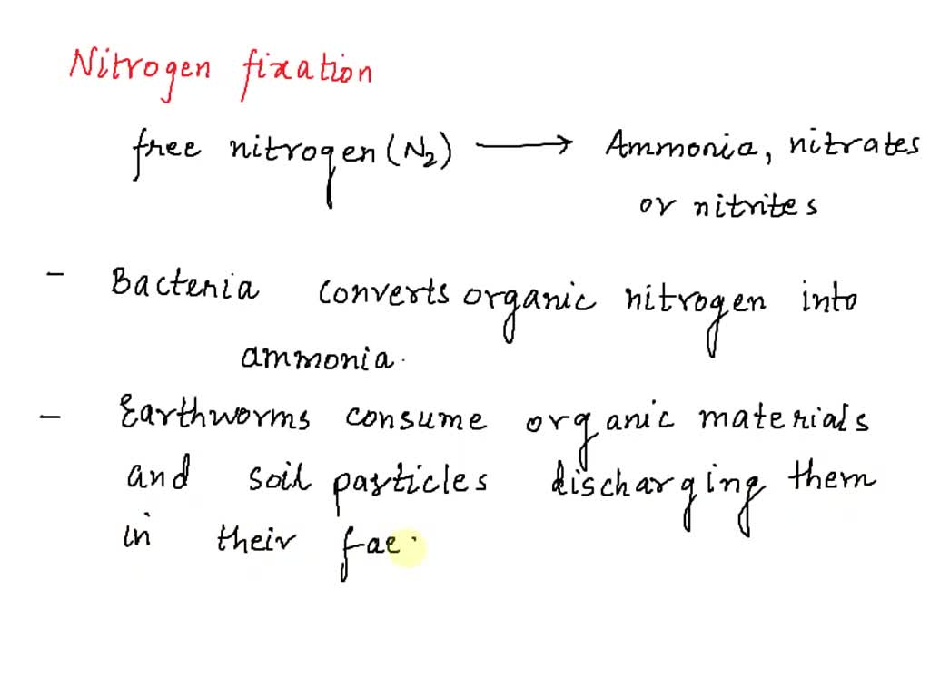 SOLVED: Question 3 Which of the following best explains nitrogen ...