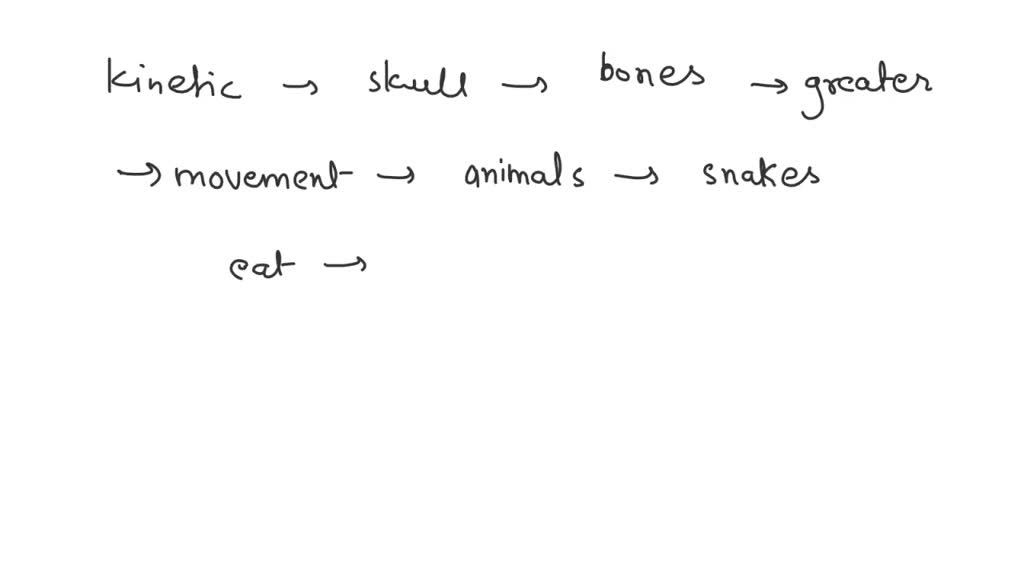 SOLVED: What is meant by a "kinetic" skull and what benefit does it ...