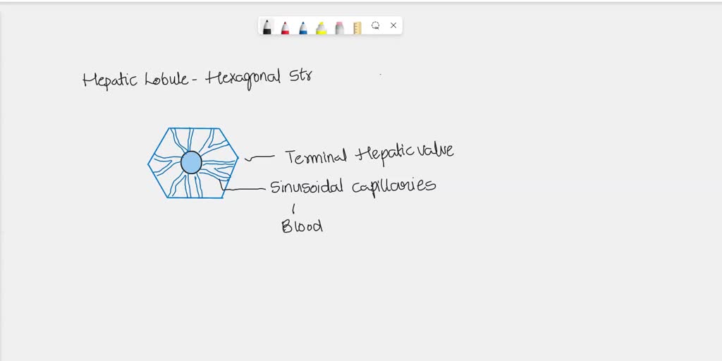 SOLVED: Write short notes on pre, intra and post hepatic jaundice SOLVED: Write short notes on pre, intra and post hepatic jaundice