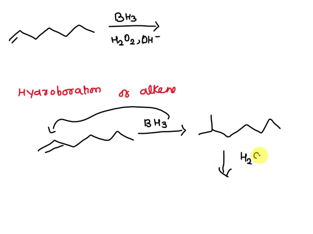 SOLVED: Which product is formed in the reaction shown and why? HO OH 1 ...