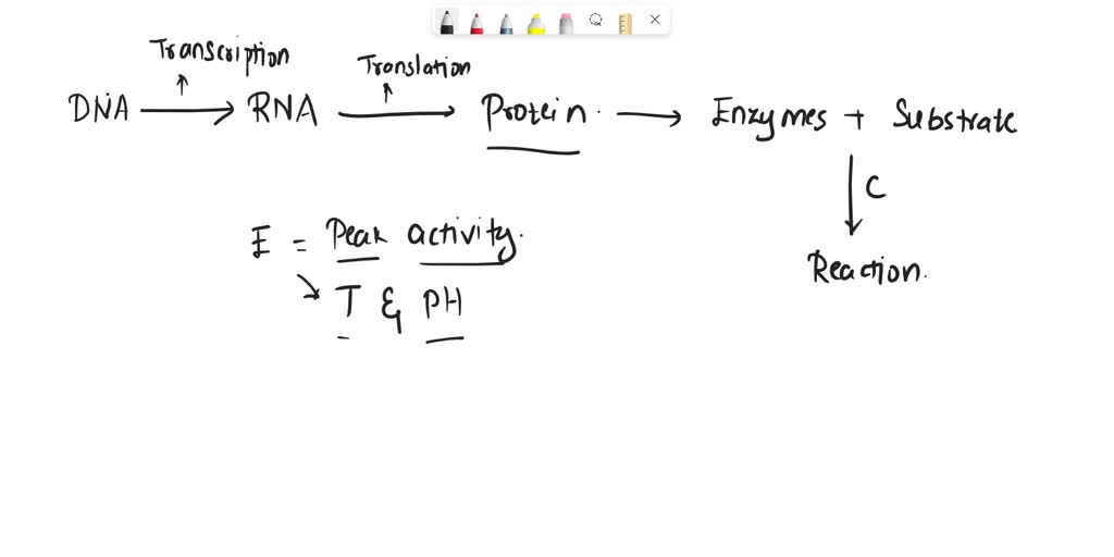 SOLVED: Biology Help! Please help me with these, I beg you. 1.) The graphs show the reaction ...
