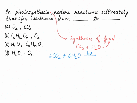 Redox Reaction Photosynthesis