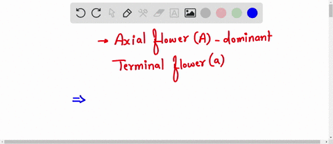 drag each label to the correct location on the punnett square the ...