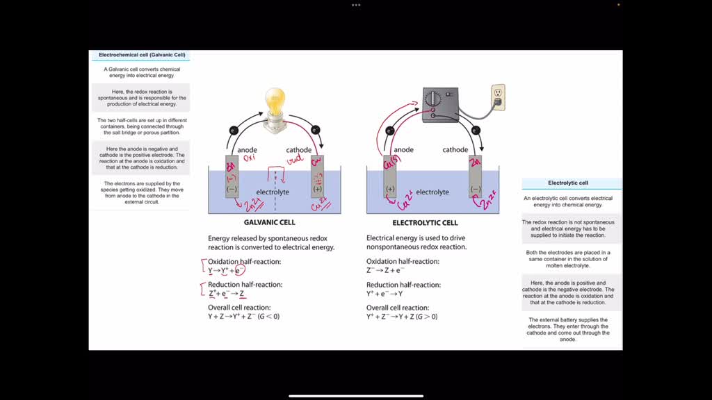 SOLVED: The electrode where oxidation occurs Anode A device that ...