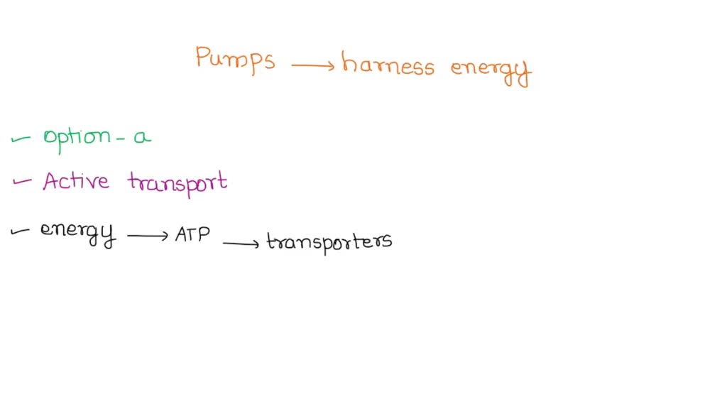 SOLVED: reuptake transporters can be...channels that transport ...