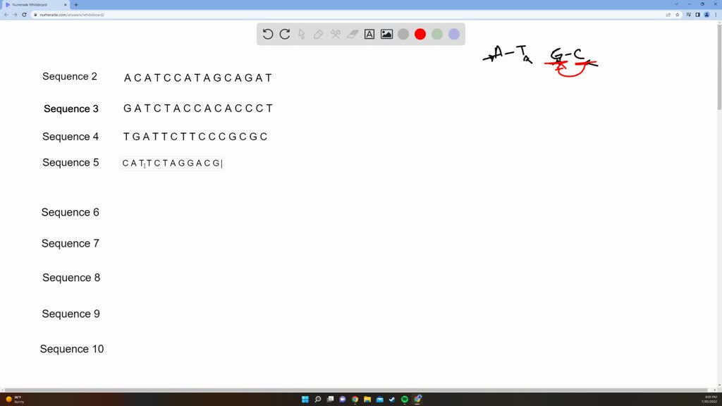 SOLVED: (4 Points) Complementary strands ol DNA: Write the ... SOLVED: (4 Points) Complementary strands ol DNA: Write the ...
