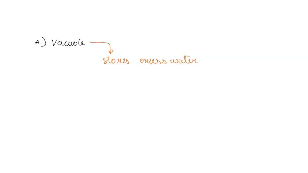 SOLVED: Which of the organelles in a plant cell store water to produce ... SOLVED: Which of the organelles in a plant cell store water to produce ...