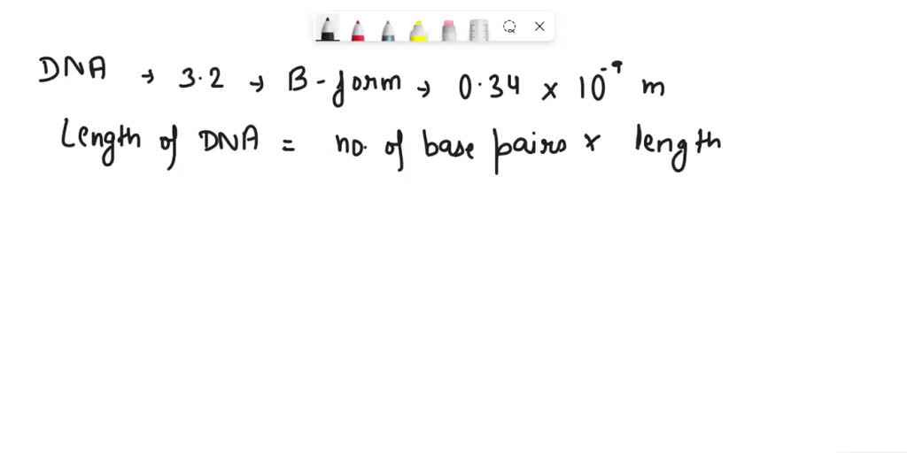 SOLVED: DNA length The human genome is composed of 3 billion bases ...