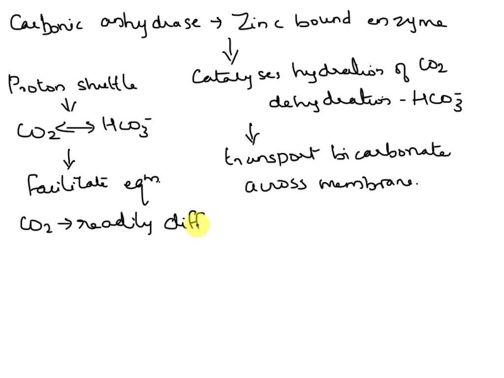 SOLVED: COMPLEX QUESTION: Carbonic anhydrase catalyzes the reversible ...