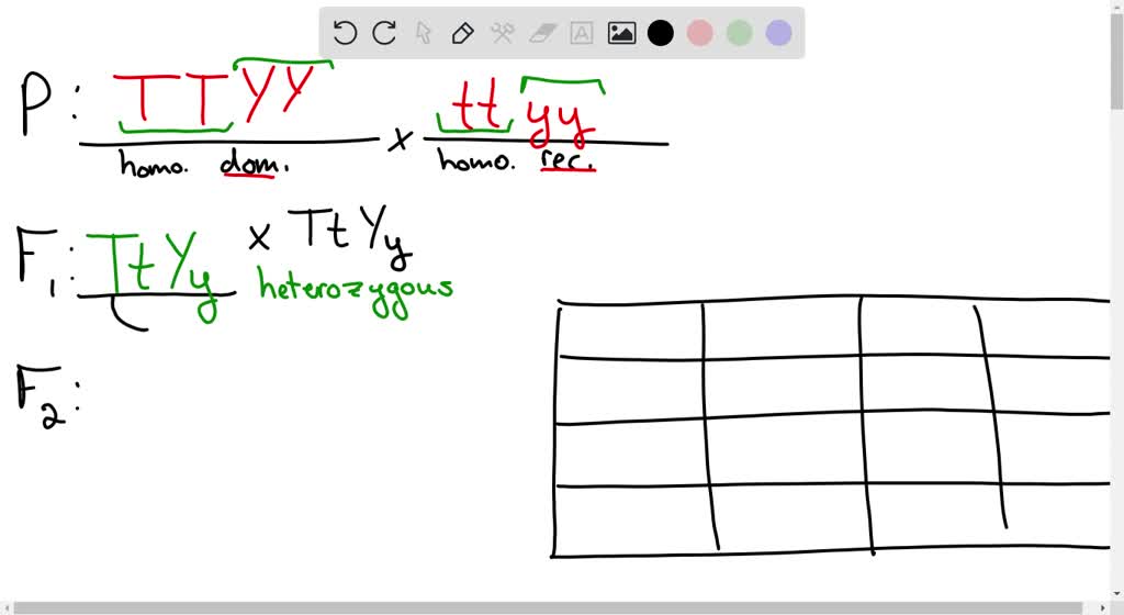 SOLVED: 1. As described in the investigative manual Gregor Mendel made careful observations of ...