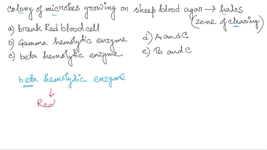 SOLVED: A colony of microbes growing on sheep blood agar that produces ...