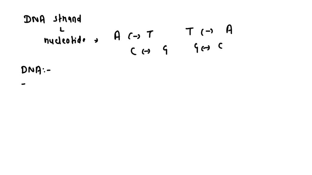 SOLVED: Question 5 (1 Page OT) point) Saved Given the template strand ...
