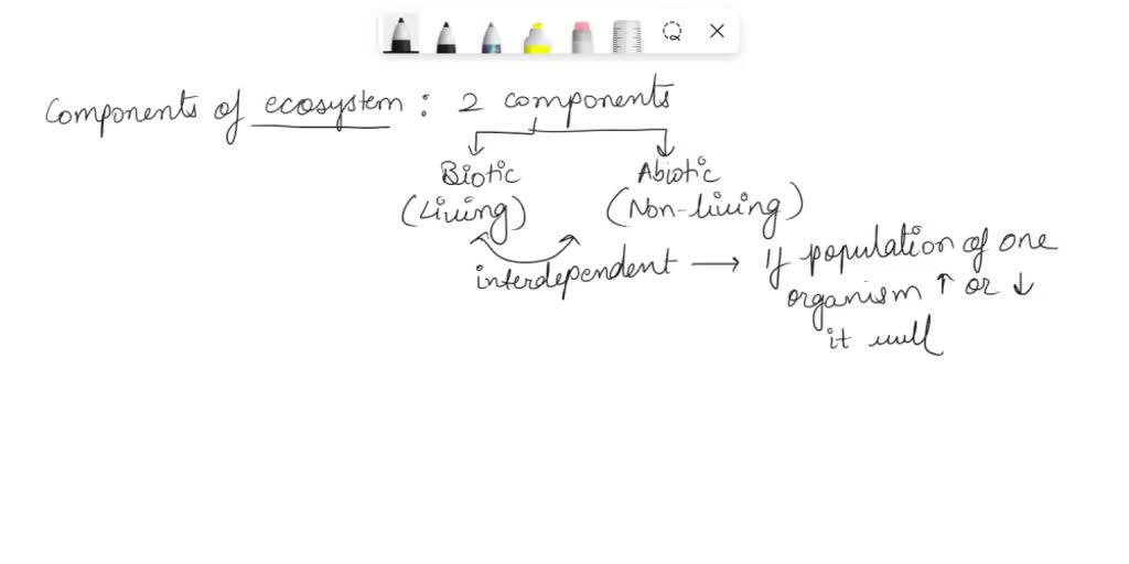 SOLVED: How are the components of an ecosystem dependent on each other?
