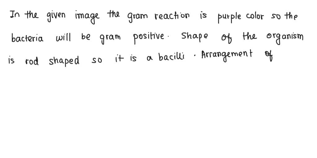 SOLVED: What is the gram reaction and shape and arrangement of the ...
