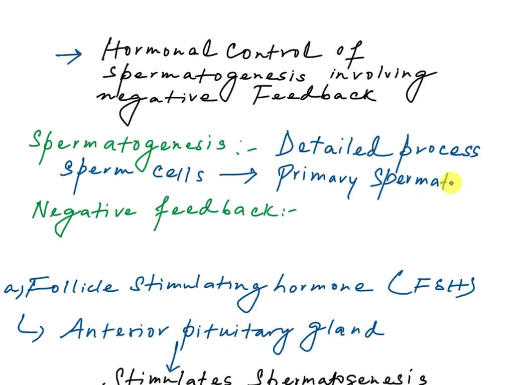 SOLVED: Explain the concept of negative feedback using the male ...
