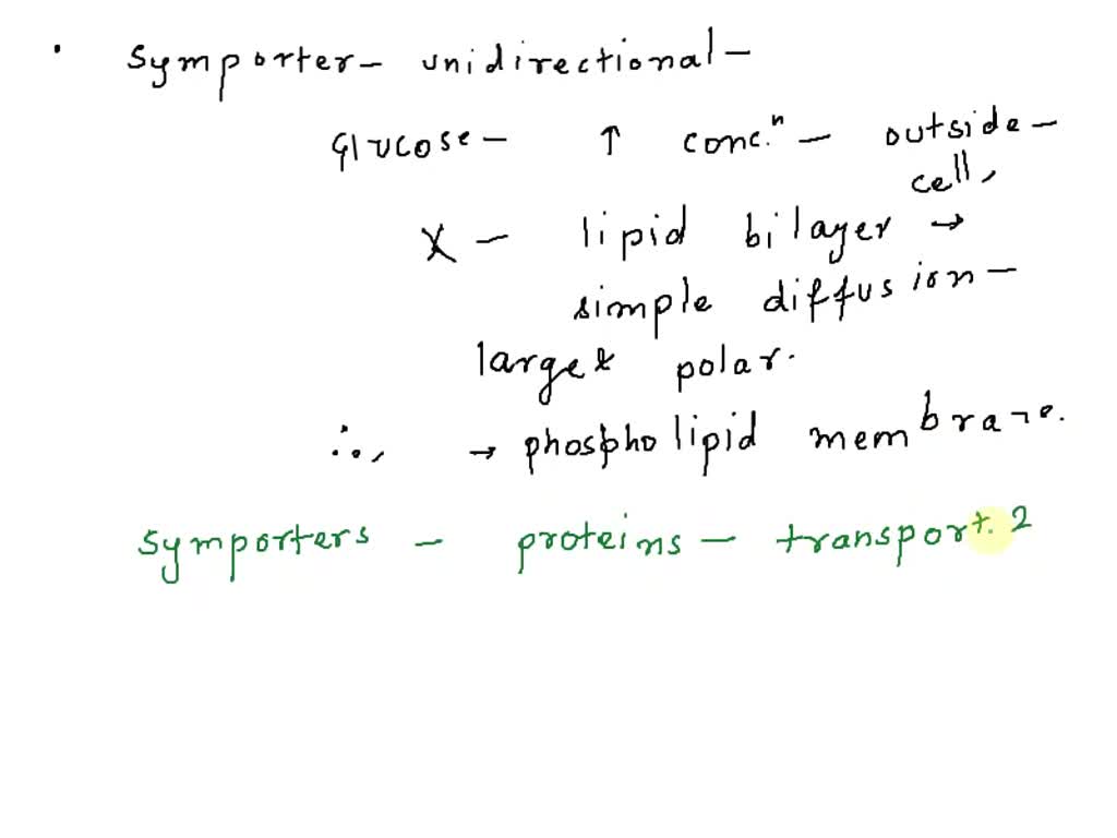 SOLVED: why is the Na+/glucose symporter located only on the apical ...