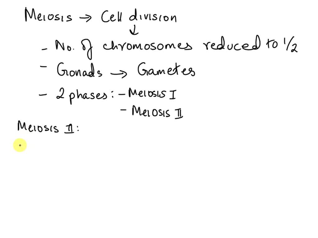 SOLVED: Identify the Correct Sequence for the Steps of Meiosis I ...