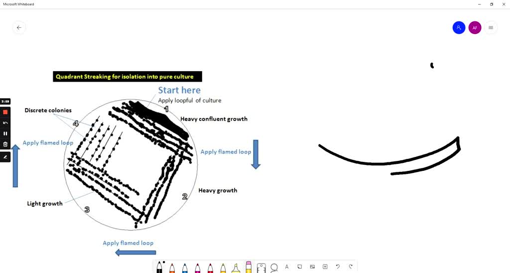 SOLVED: 1- Why is it important to use a sterilized loop between streaks when preparing a streak ...