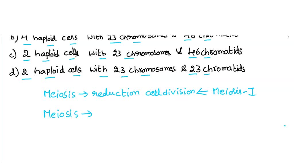 SOLVED: In humans (2n=46), what is the end result of meiosis I (before ...