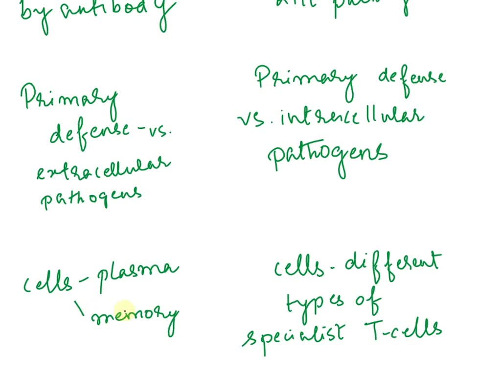 SOLVED: Compare and contrast antibody-mediated (humoral) vs. cell ...