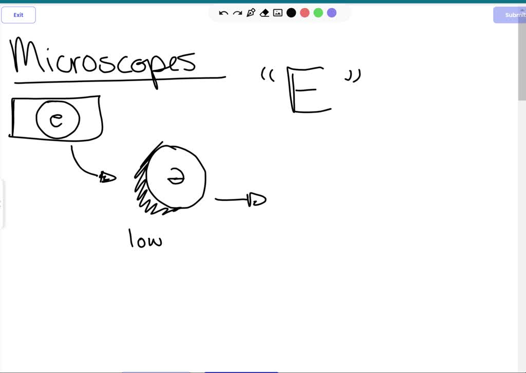 SOLVED: Compound light microscopes have two sets of lenses that act as ...