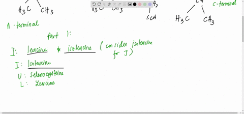 Instructions: Part 1: Using pen and paper, indicate the amino acid ...