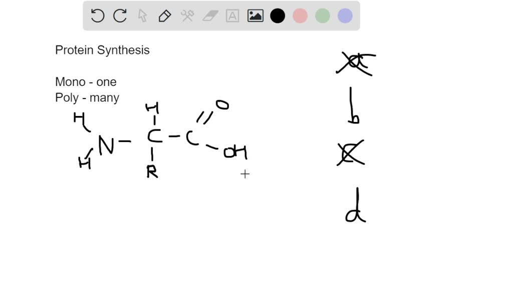 SOLVED: 2. When proteins are formed the end of one amino acid combines ...
