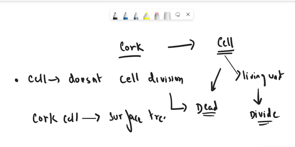 SOLVED: The light microscope was used to observe the cellular structure ...