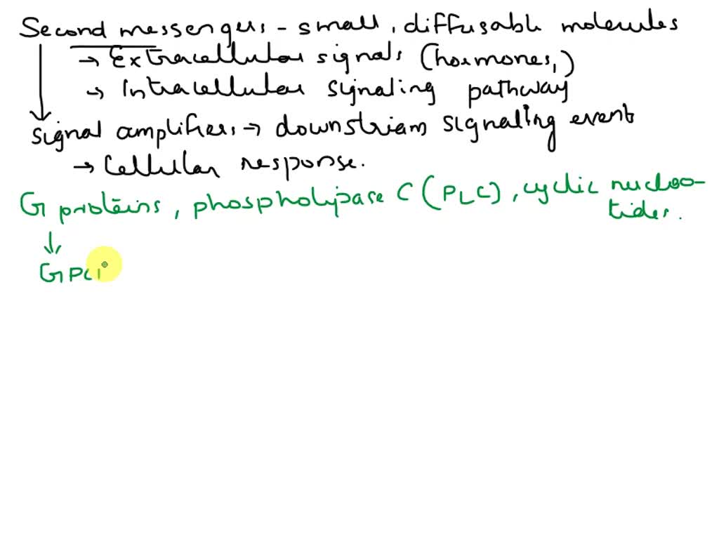 SOLVED: Second messengers serve to amplify upstream extracellular signals by dramatically ...