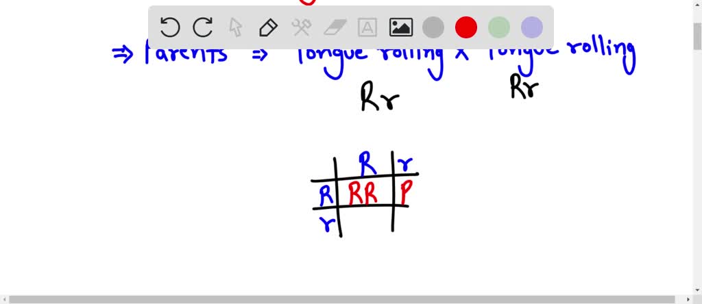 SOLVED: Exercise: Principles of Inheritance Complete the Punnett square ...