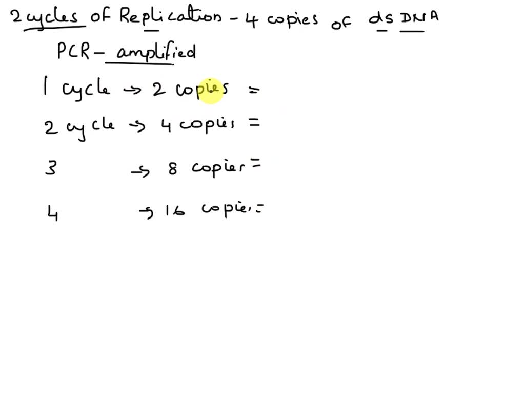 SOLVED: APCR reaction begins with one double-stranded segment of DNA. How many double-stranded ...