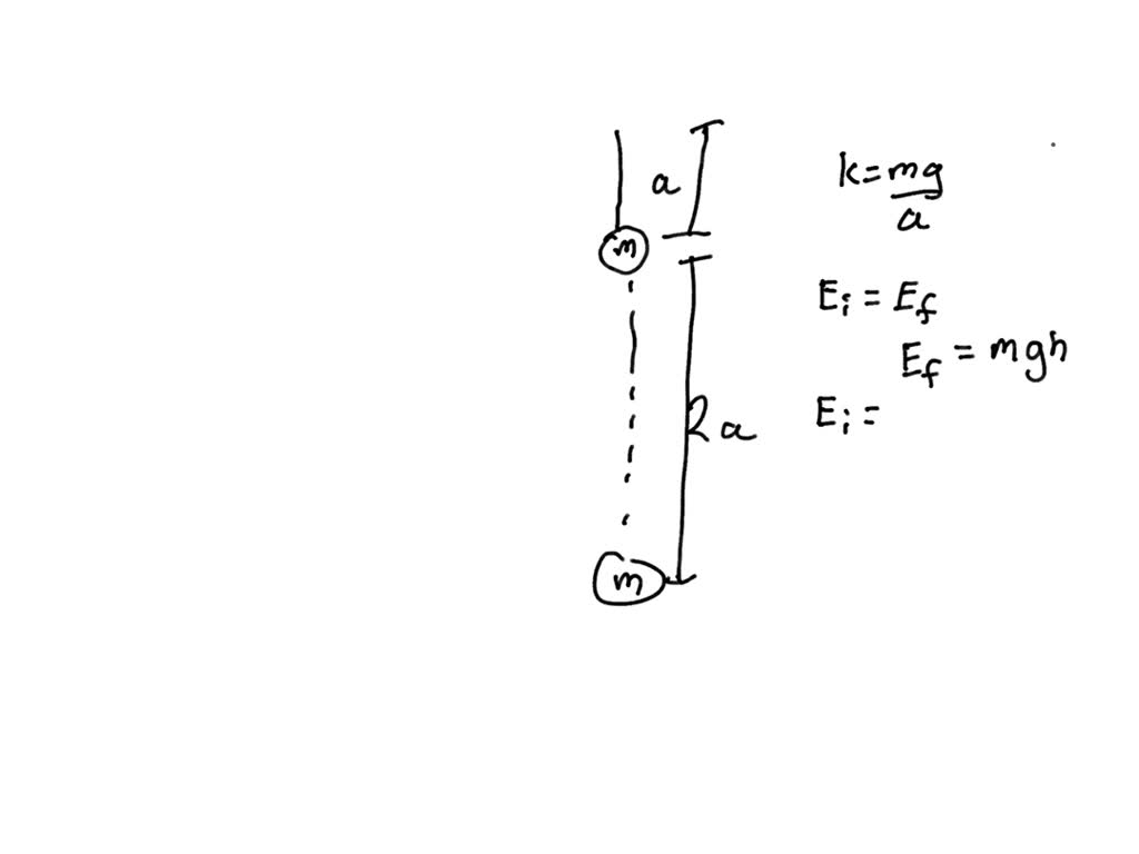 SOLVED: An elastic string of negligible mass has one end fixed to a ...