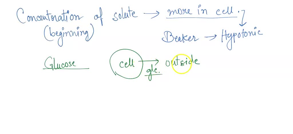 SOLVED: A cell containing 35% glucose and 40% sucrose is placed in a ...