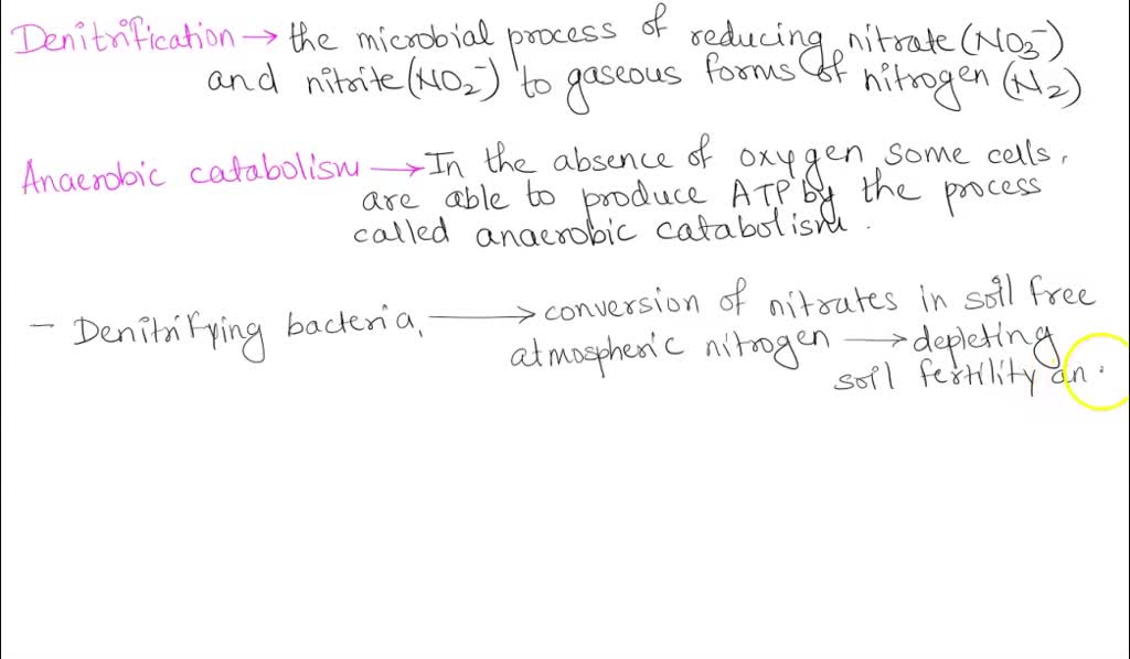 SOLVED: Denitrification is an anaerobic process, yet sediments are able ...