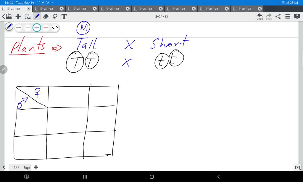 SOLVED: 10. Explain how punnett square works and why it is useful for ...