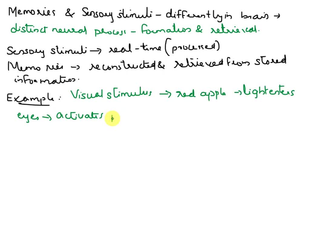 SOLVED: Why are memories represented in the brain differently than sensory stimuli? Give an ...