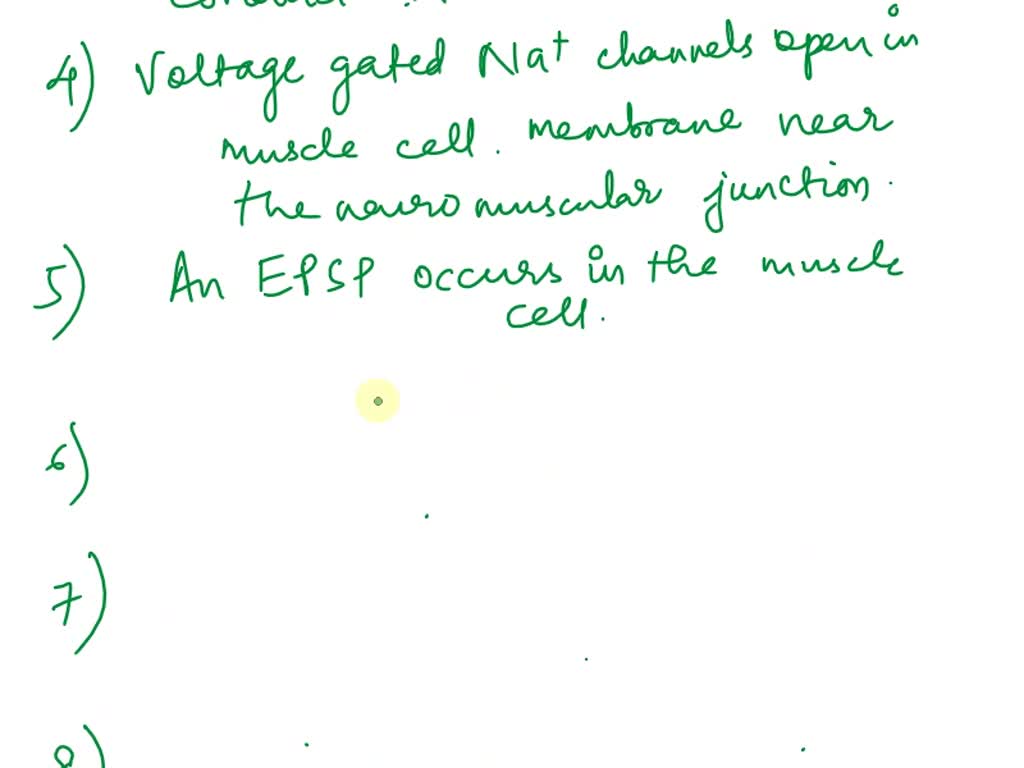 SOLVED: Put these steps in neuromuscular junction synaptic transmission ...